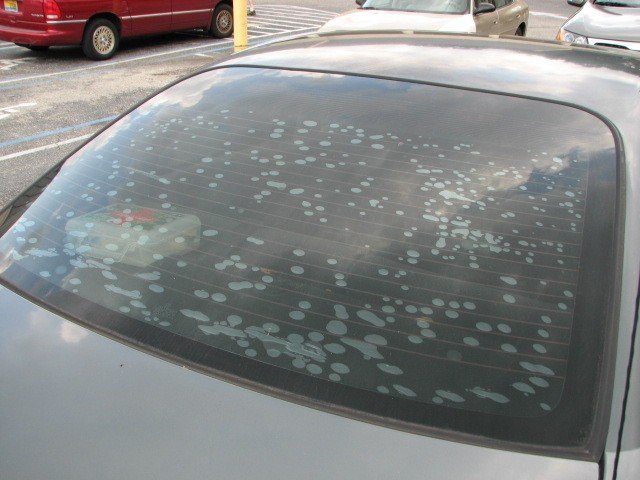 Is It Normal To Have Bubbles In New Tint Car Info Hut